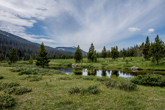 Long Draw Road – toddlerado