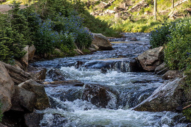 Long Draw Road – toddlerado