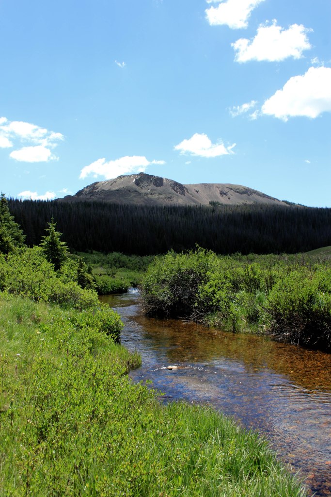 Long Draw Road – toddlerado